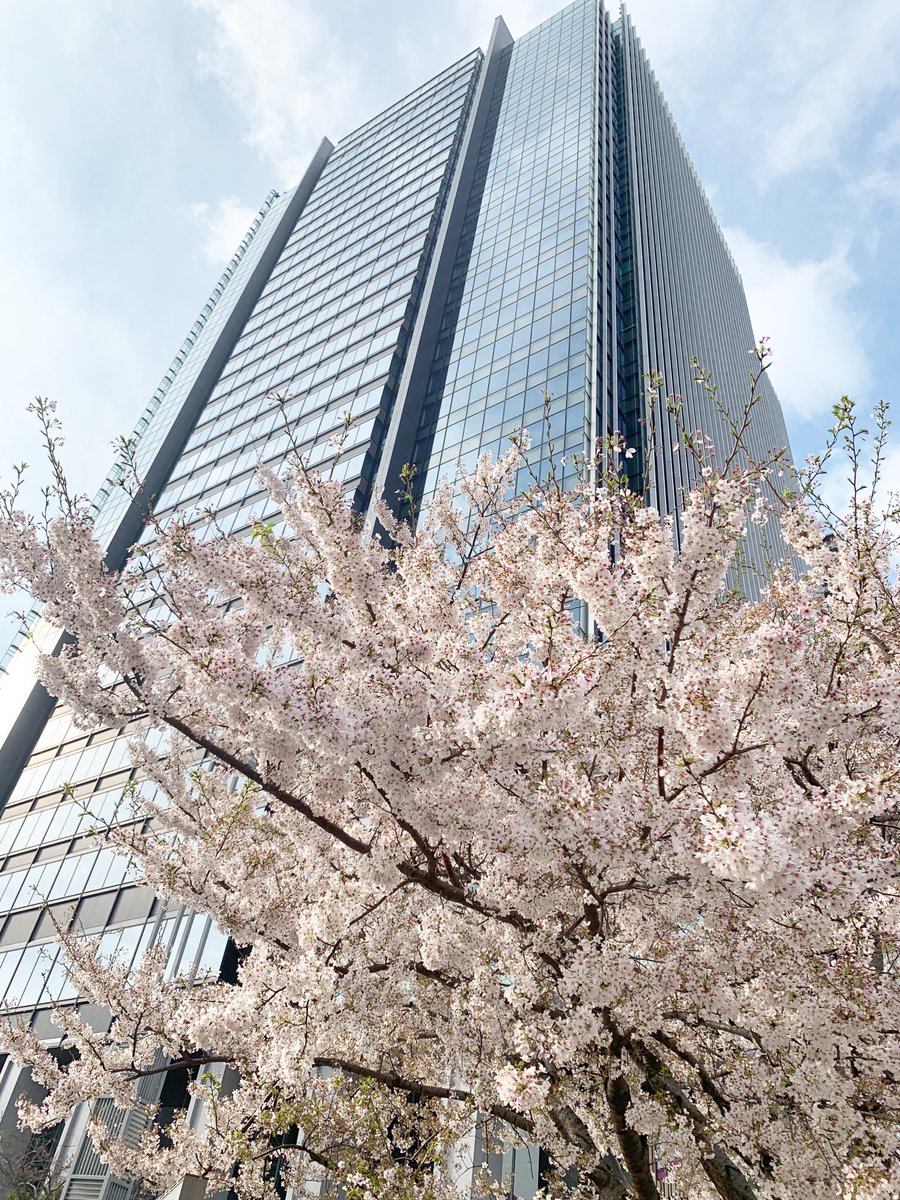 IIJ(@IIJ_PR) - Twilog (ツイログ)