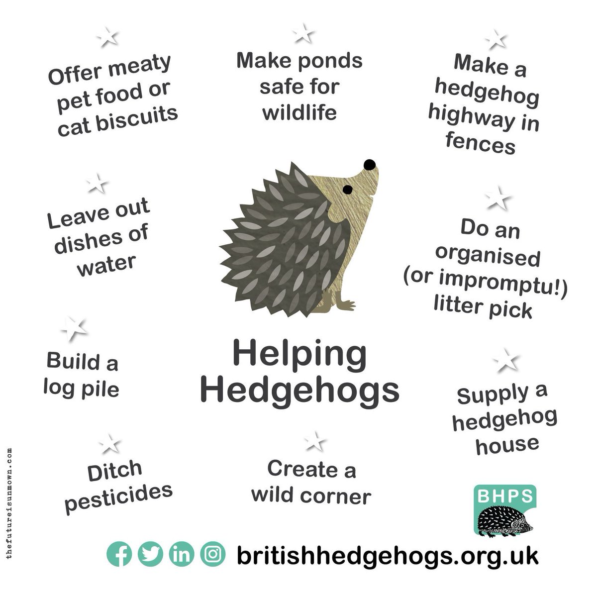 Hedgehog Heroes - Walsall Council - The British Hedgehog Preservation ...