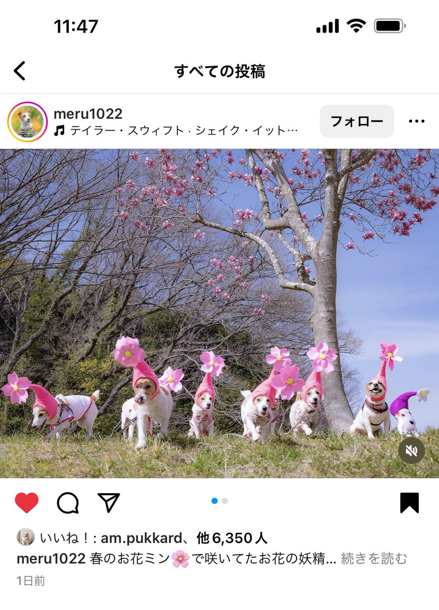 凛々奏hip105cm(@ohshiri2ki) さんの裏垢画像・動画 – 裏垢女子ランキングナビ