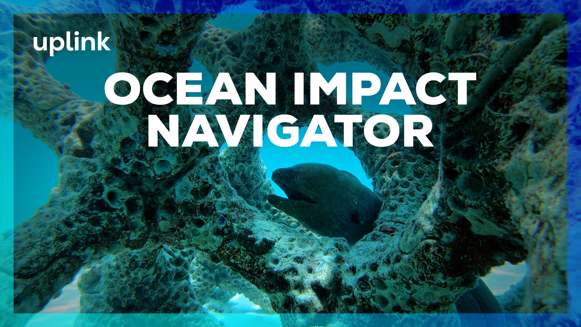 Uplink Wallpaper 1920x1080 HD Wallpaper: Blacklight Retribution