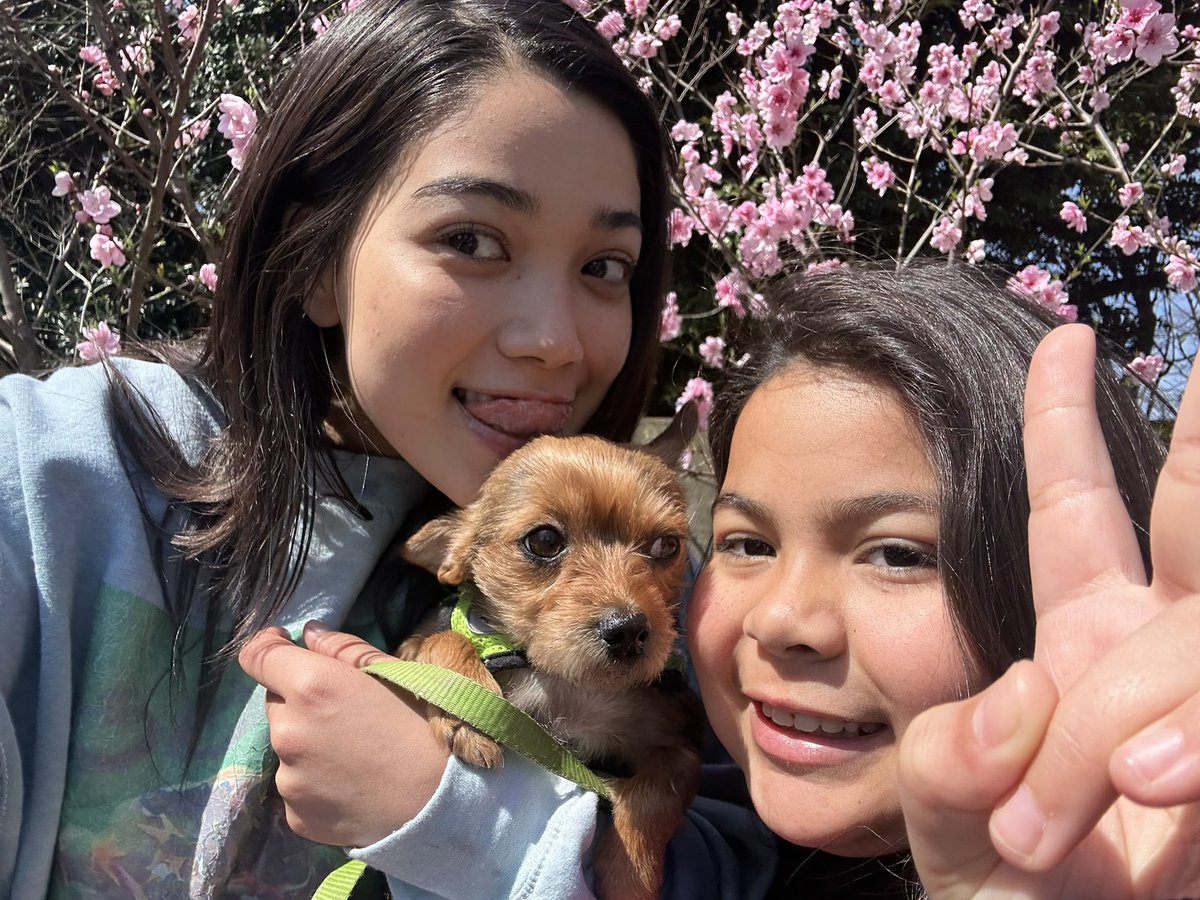 Mayuri(@mayurinn0319) さんの裏垢画像・動画 – 裏垢女子ランキングナビ