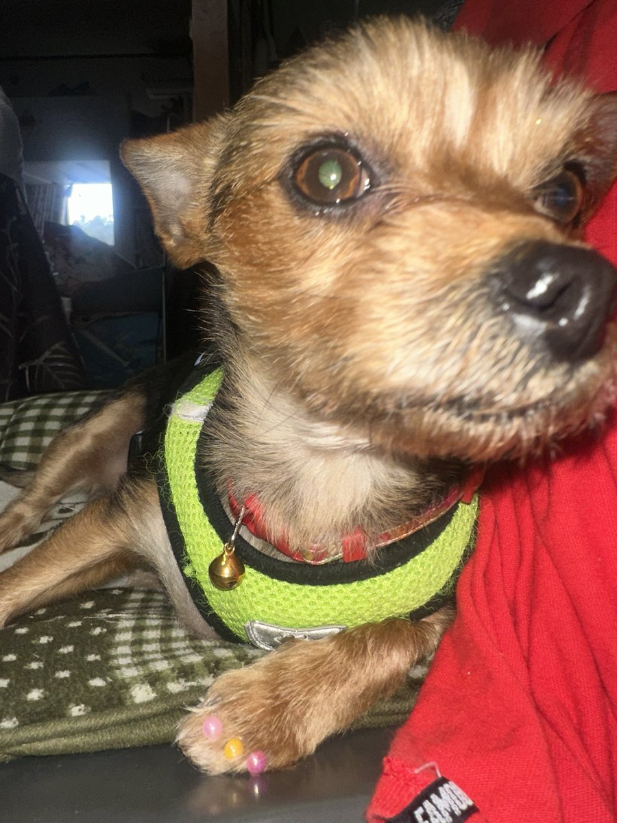 Mayuri(@mayurinn0319) さんの裏垢画像・動画 – 裏垢女子ランキングナビ