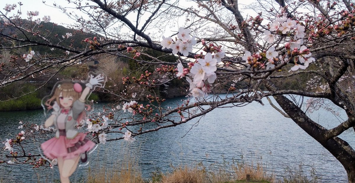 華咲あいか会えるアイドルVtuber(@aika_startune) さんの裏垢画像・動画 – 裏垢女子ランキングナビ