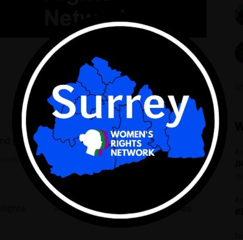 Surrey Logo Newton Surrey Royals BB24 Team Players CricHeroes
