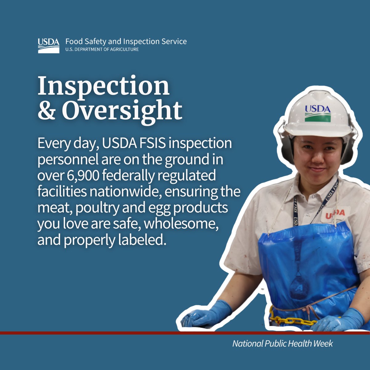 Usda Fsis Logo USDA FSIS Status Of Regulatory Compliance Of