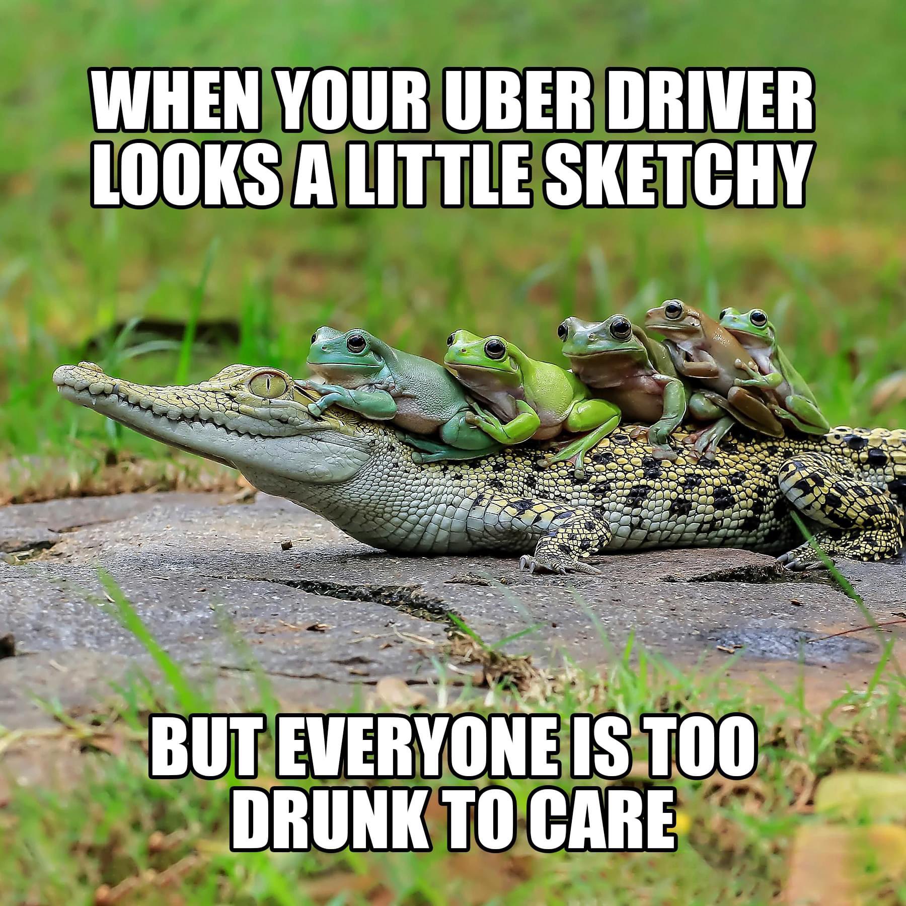 Uber Driver Dolphin Memes 29 Funny Memes For The Sweats And Tryhards