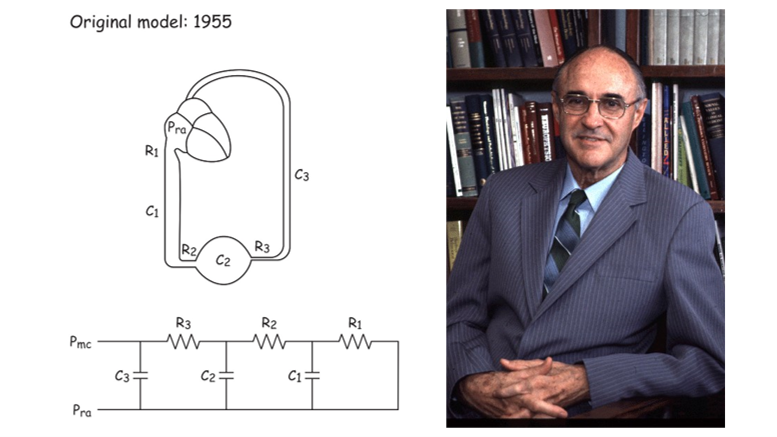 1) Welcome to a 🆕 #accredited #tweetorial on #Albuminuria: The Canary ...