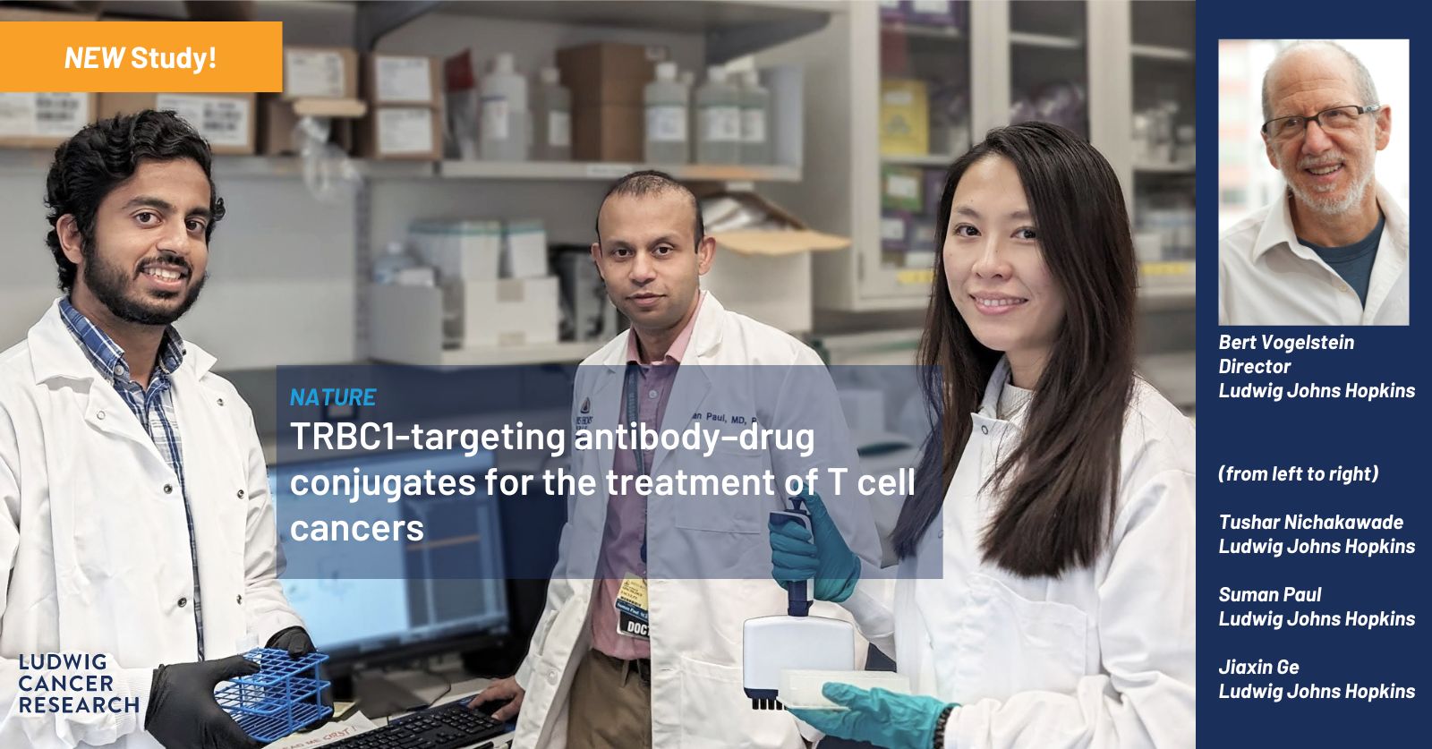 Ludwig Cancer Research Logo Ludwig Cancer On X: "Study Led By Ludwig
