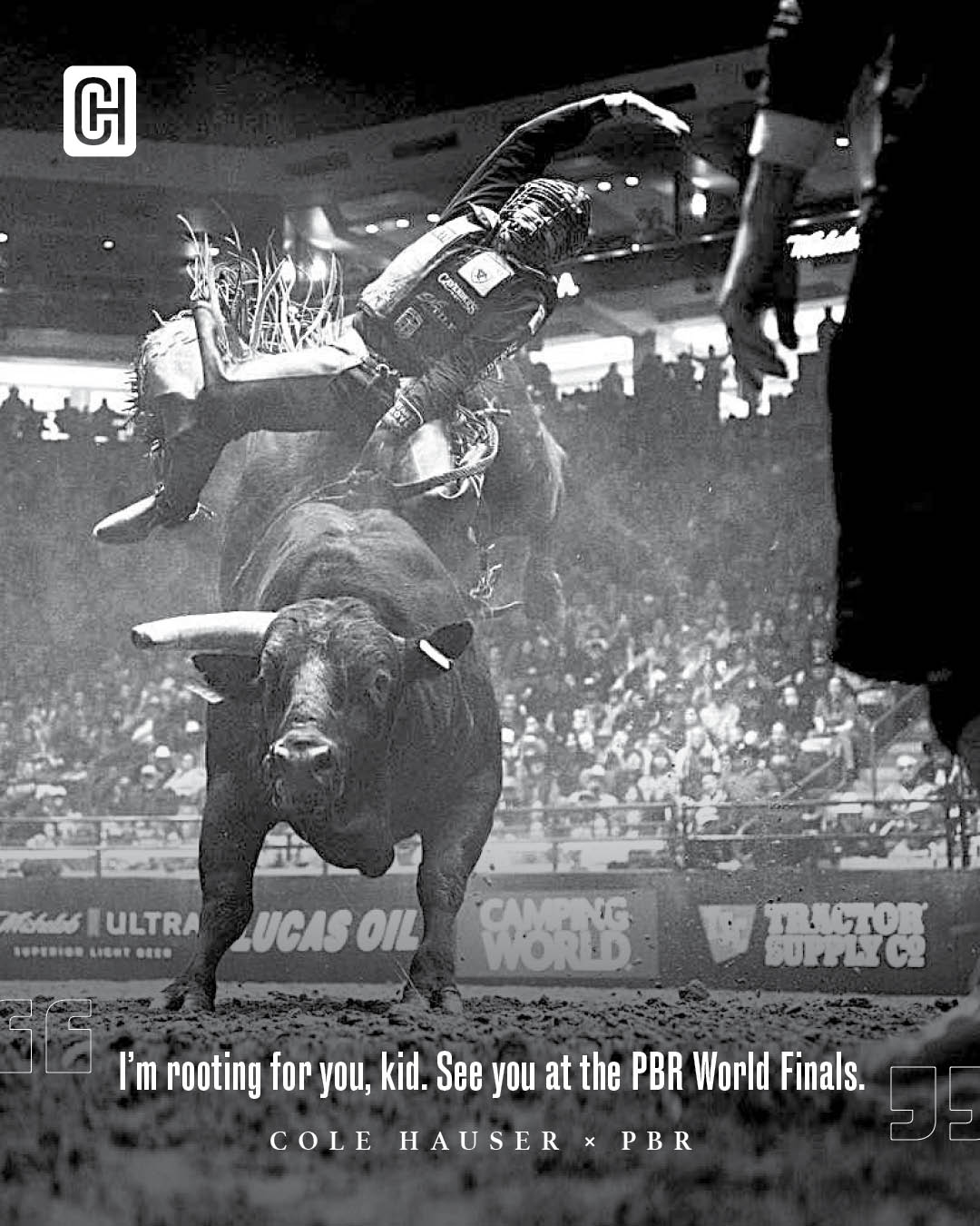 Pbr Bull Riding Quotes