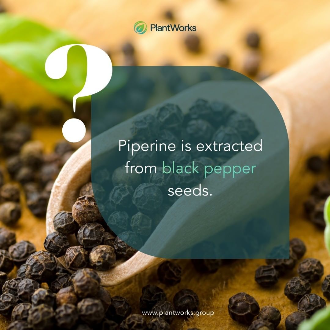 Plantworks group (@plantworksgroup) / Posts / X
