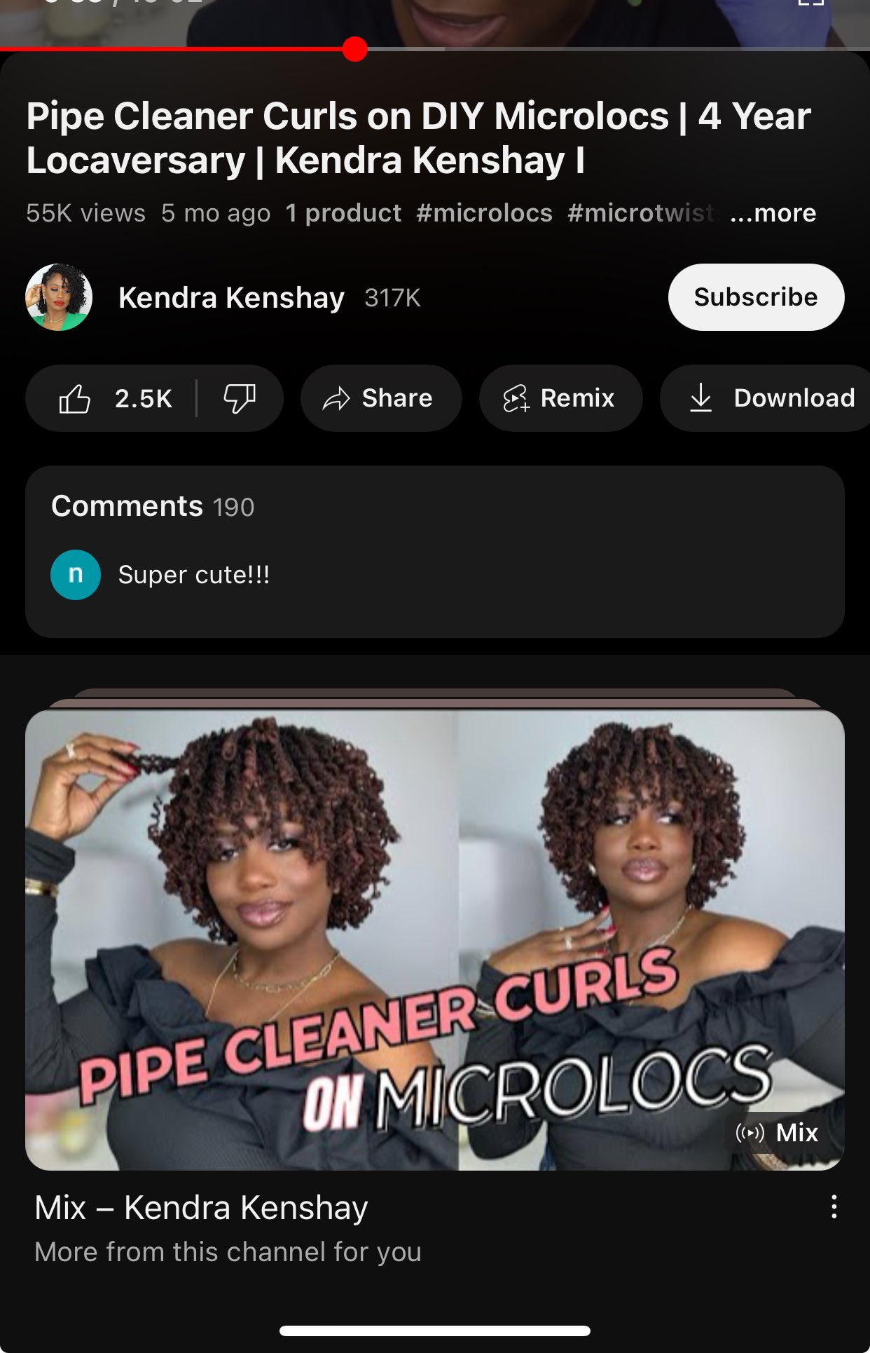 Pipe Cleaner Locs Styles