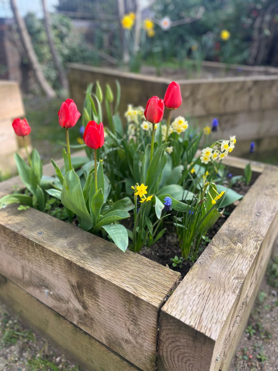 Bromley Mencap - Supporting Disabled People