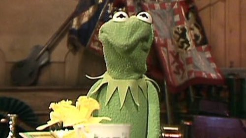 Kermit The Frog Scrunched Face Kermit The Frog