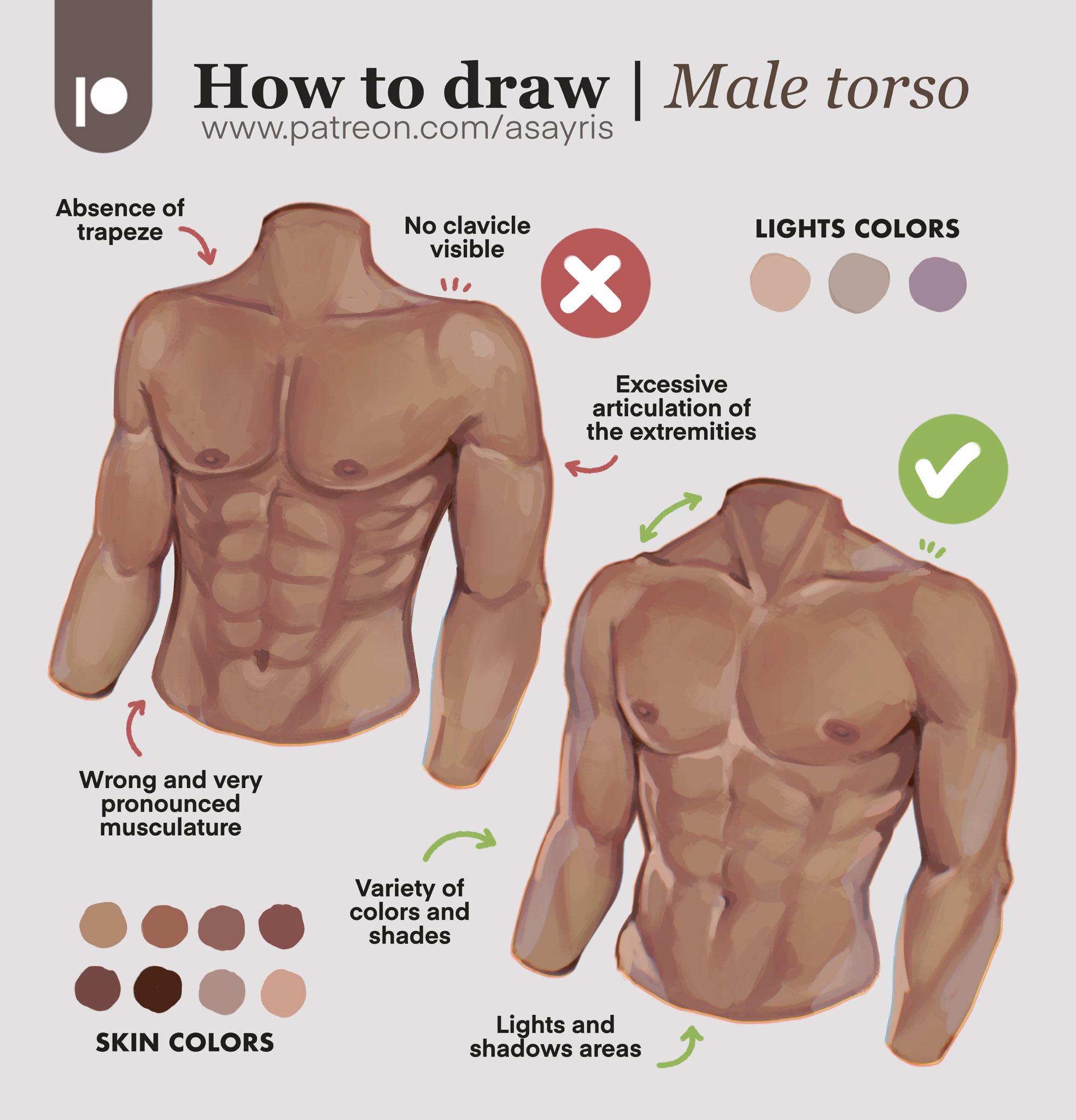 Male Torso Drawing Reference How To Draw An Arm | Art Rocket