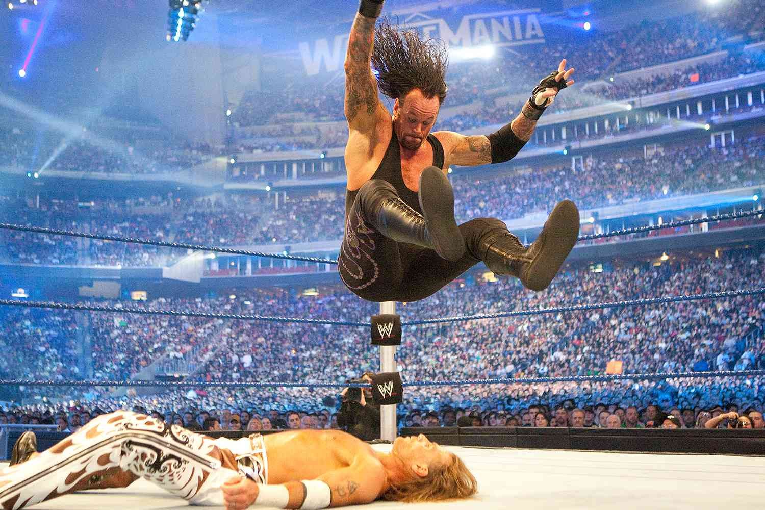 Wwe Undertaker Tombstone Piledriver