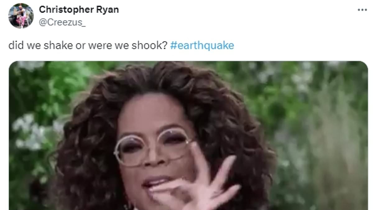 Magnitude Memes Meta CEO Mark Zuckerberg Announces A Bold Shift In The