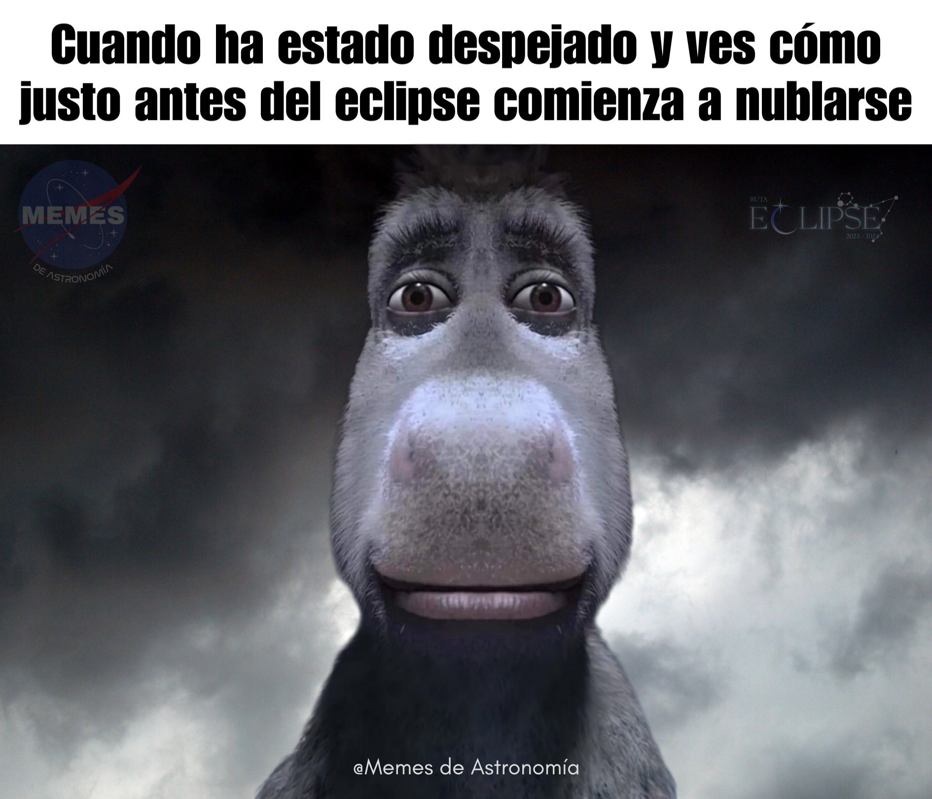 Memes Del Triste Ich Bin Auf Der Suche Nach Variationen Dieses Memes,