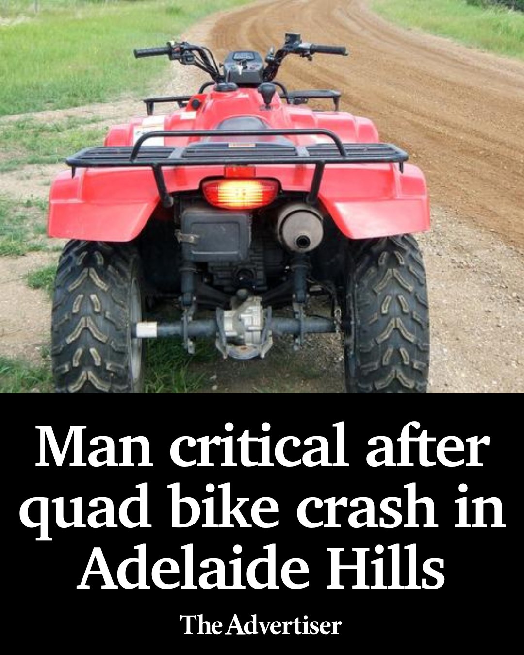 Quad Bike Memes Florida Woman Fights To Keep Her Pet Alligator Who