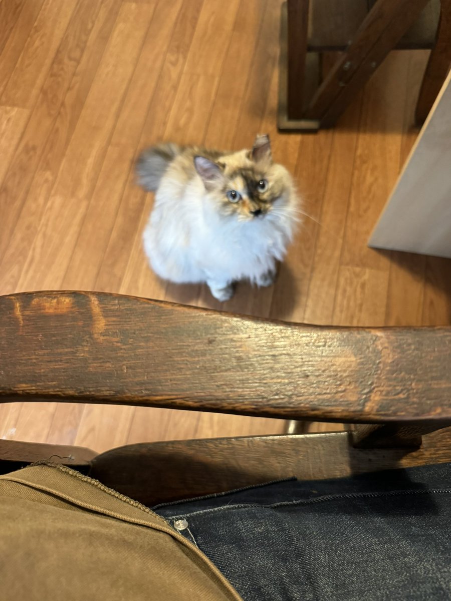 Satoshi Kojima(@skoji) - Twilog (ツイログ)