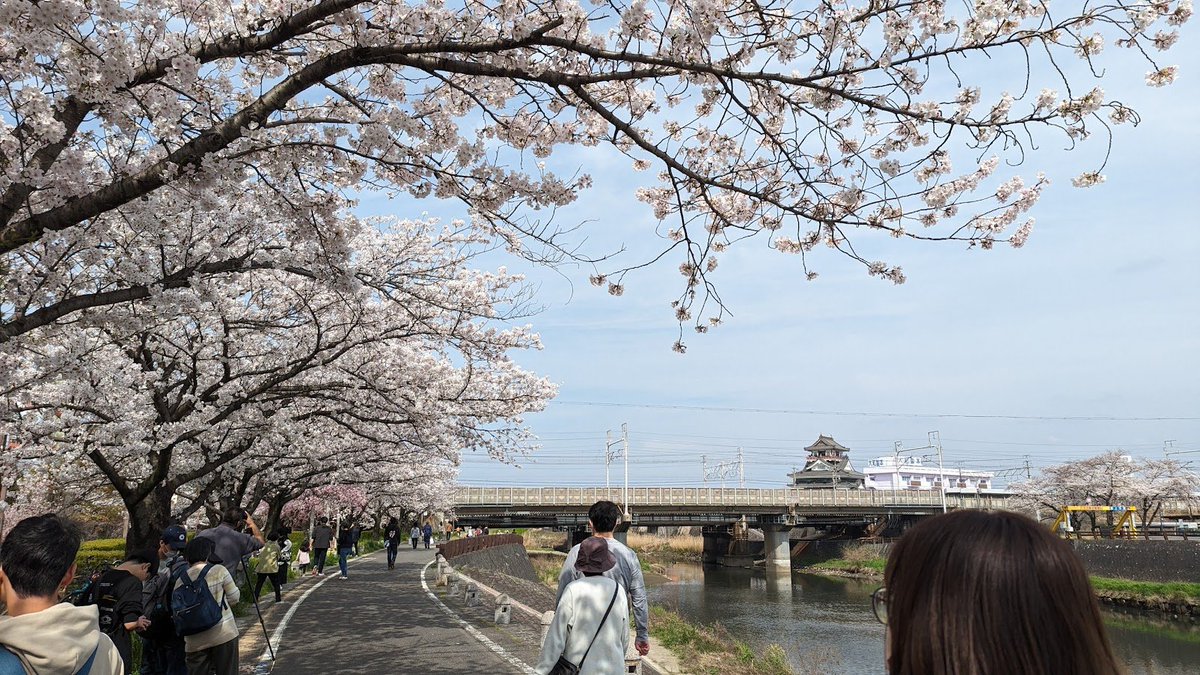 NRF(ナリフ)(@NRF_narifu) - Twilog (ツイログ)