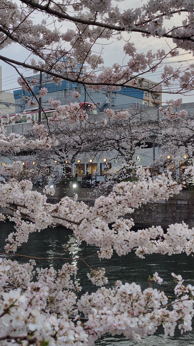 hg45 祝☆CASIOPEA-P4 NEW ALBUM RECORDING(@hg45hg) - Twilog (ツイログ)