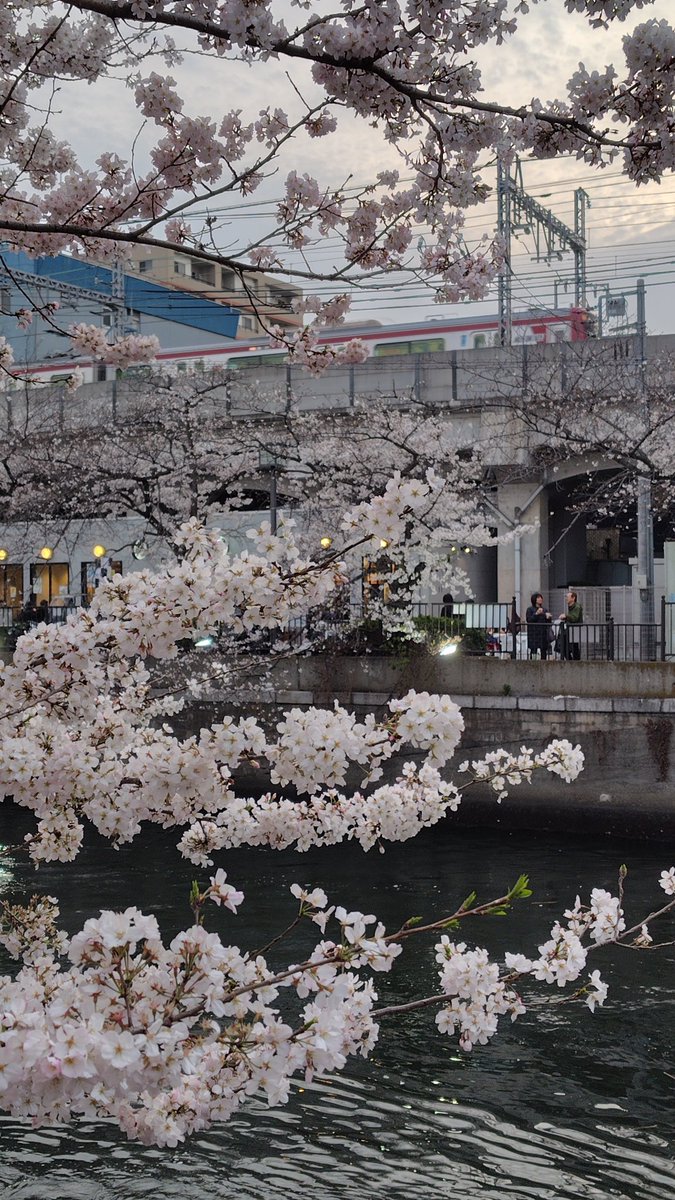 hg45 祝☆CASIOPEA-P4 NEW ALBUM RECORDING(@hg45hg) - Twilog (ツイログ)