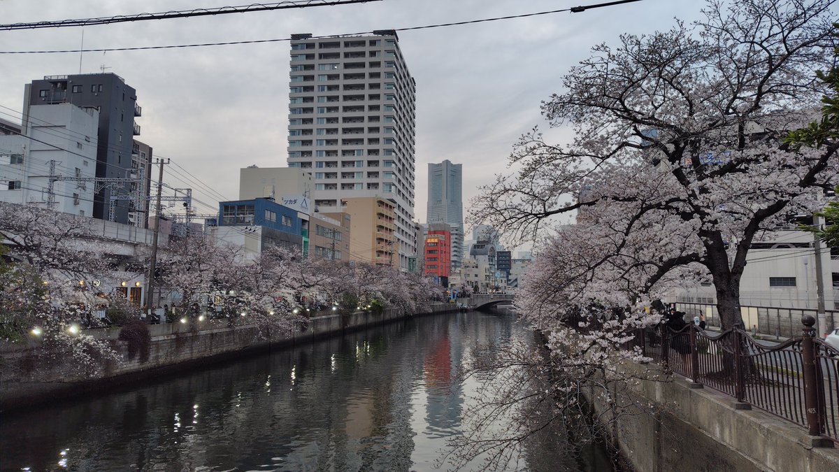 hg45 祝☆CASIOPEA-P4 NEW ALBUM RECORDING(@hg45hg) - Twilog (ツイログ)