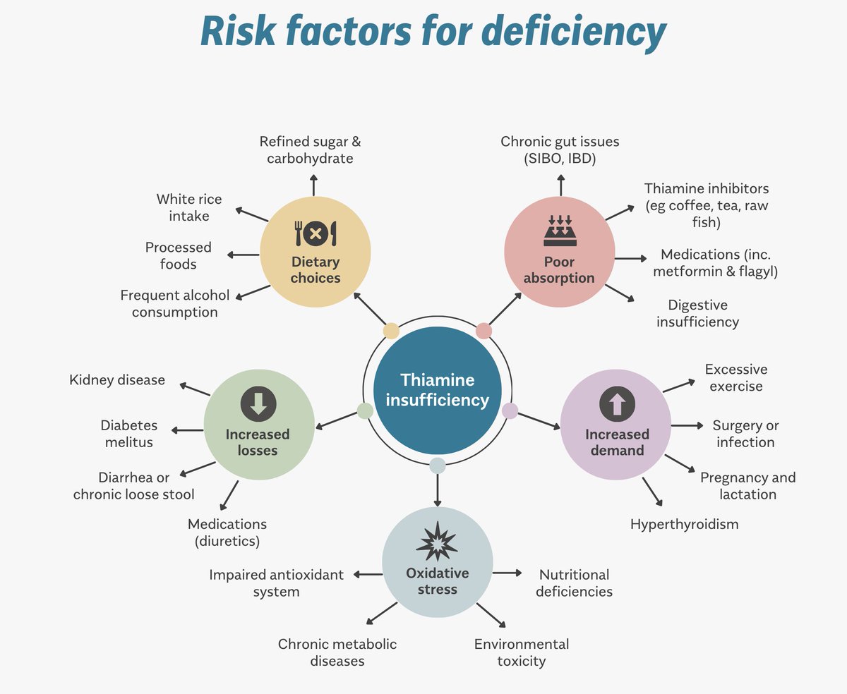 CO2 + T3 + B1's Threads – Thread Reader App