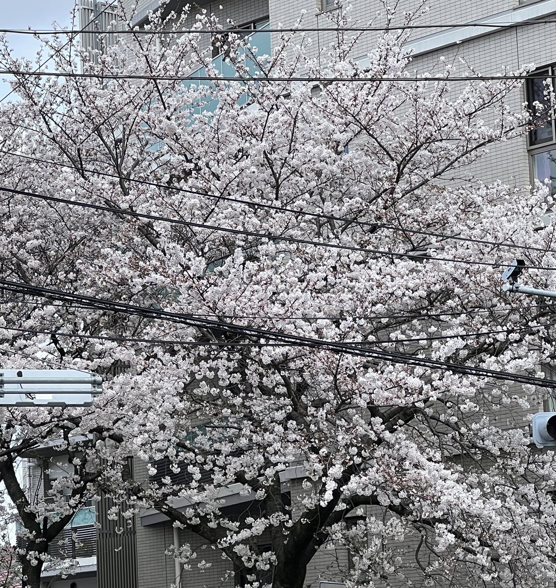 EventBank（イベントバンク）【公式】(@i_eventbank) - Twilog (ツイログ)