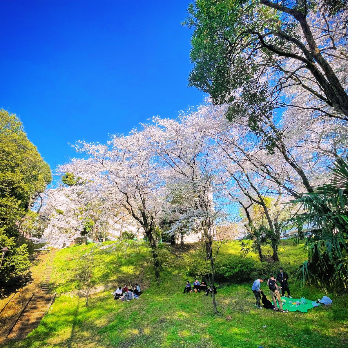 𝕙𝕚𝕣𝕠𝕗𝕦𝕞𝕚𝕩™(@hirofumix) - Twilog (ツイログ)