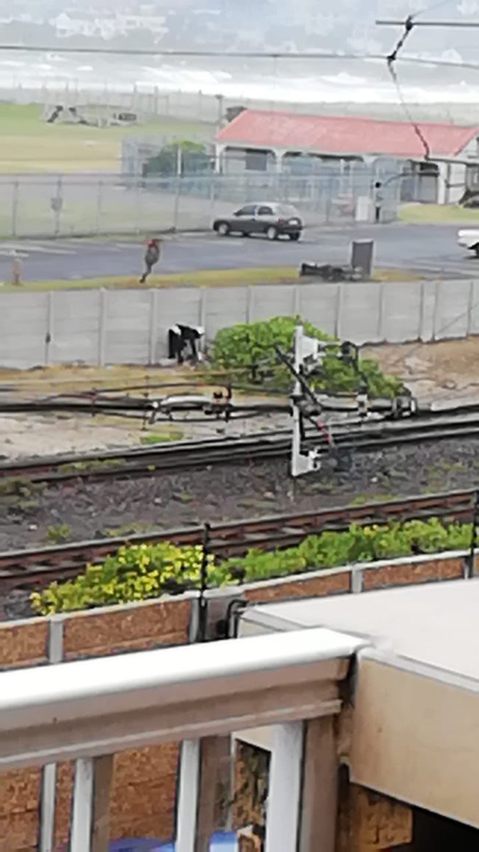 [CT WEATHER] The gale force winds in the Western Cape have affected the ...