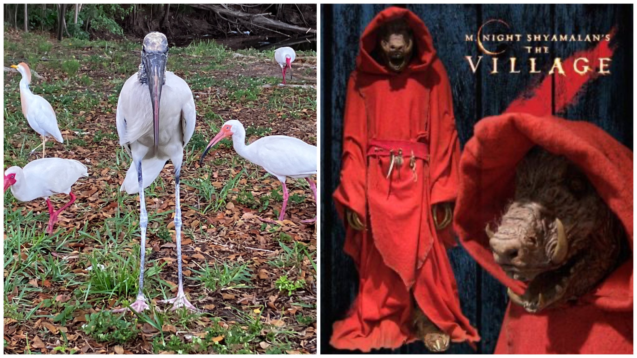 The Village Movie Monster I Am The Dagger That Pierces The Veil Of