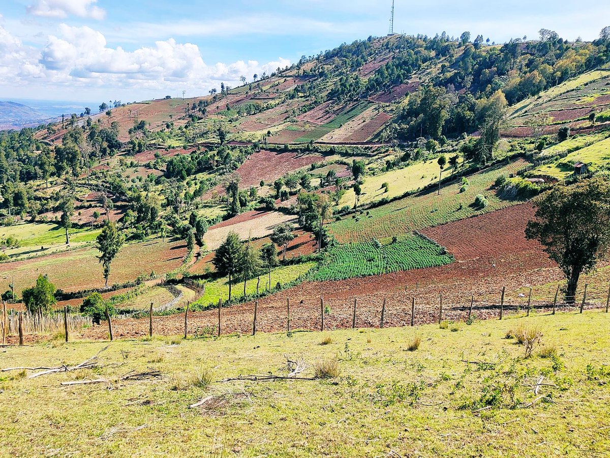 PROCEDURE OF PURCHASING LAND IN KENYA If you are buying land from an ...