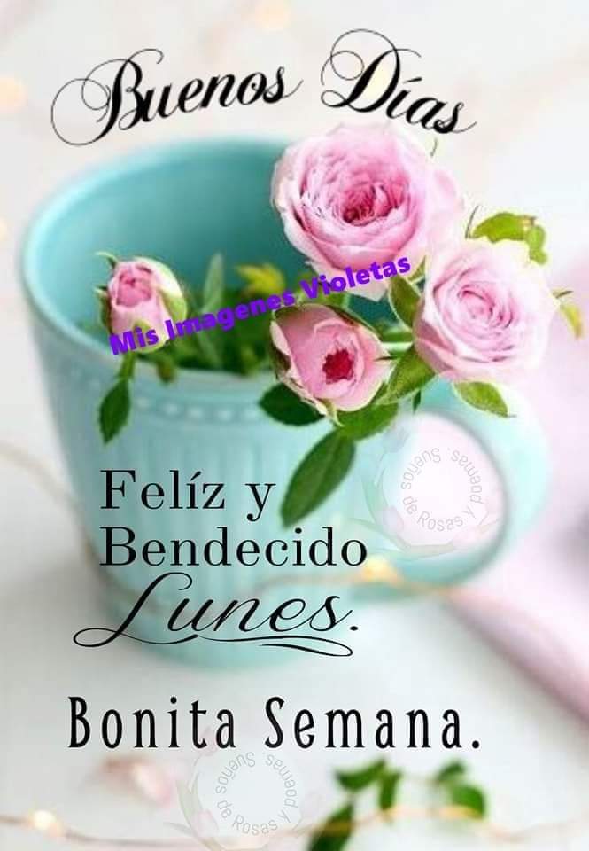 Buenos Dias Lunes Imagenes Feliz Lunes: 100 Frases Para Dedicar
