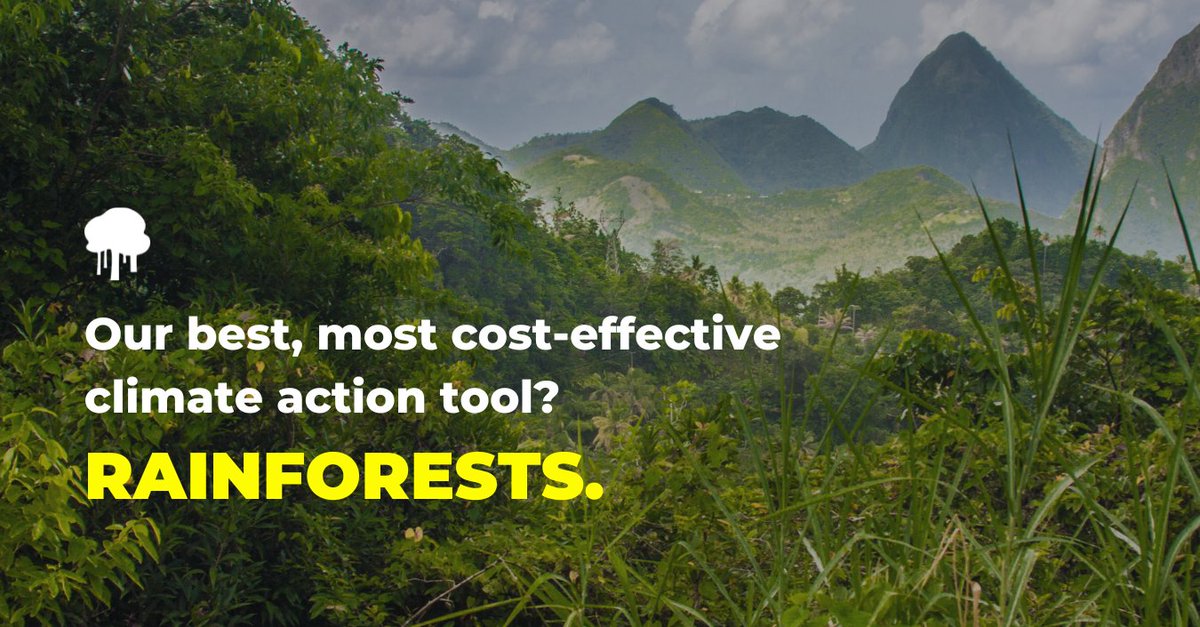 CfRN COP27 2022 - Coalition for Rainforest Nations