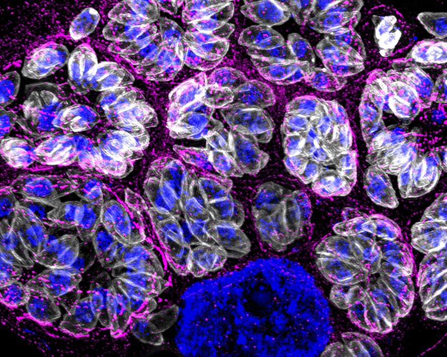 Whitehead Institute I Am Honored To Start A Laboratory At The