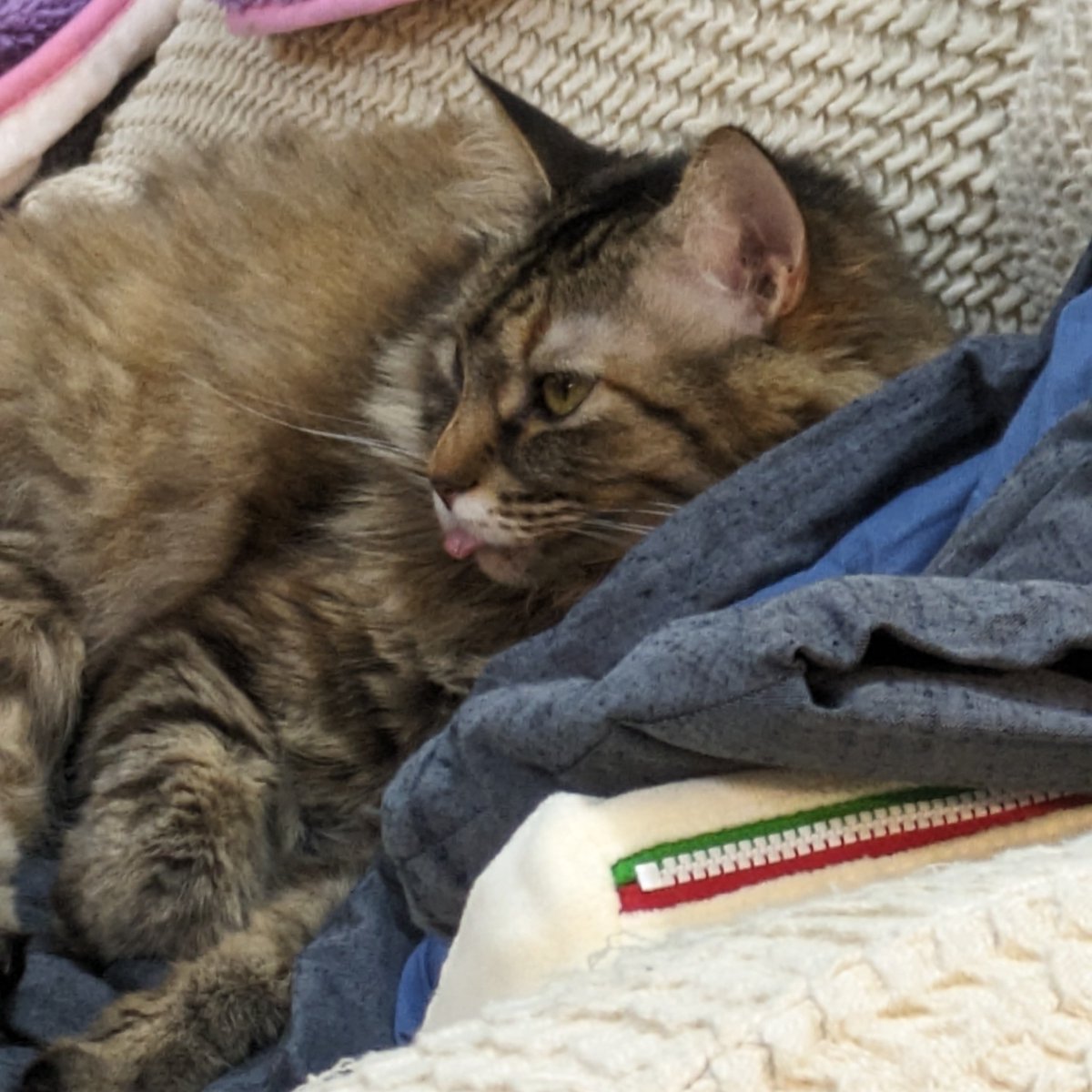 浅見潤(@asami_jun) - Twilog (ツイログ)