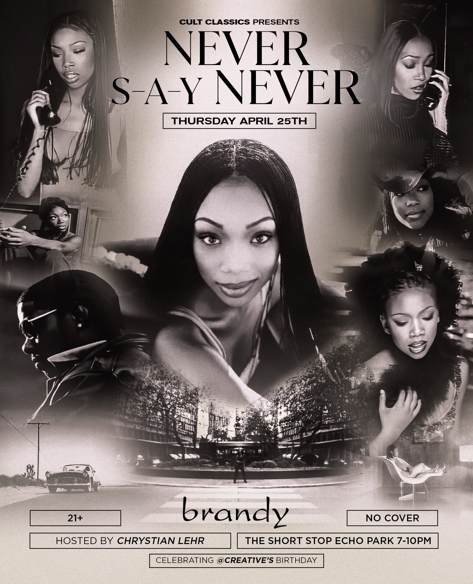 Brandy Never Say Never