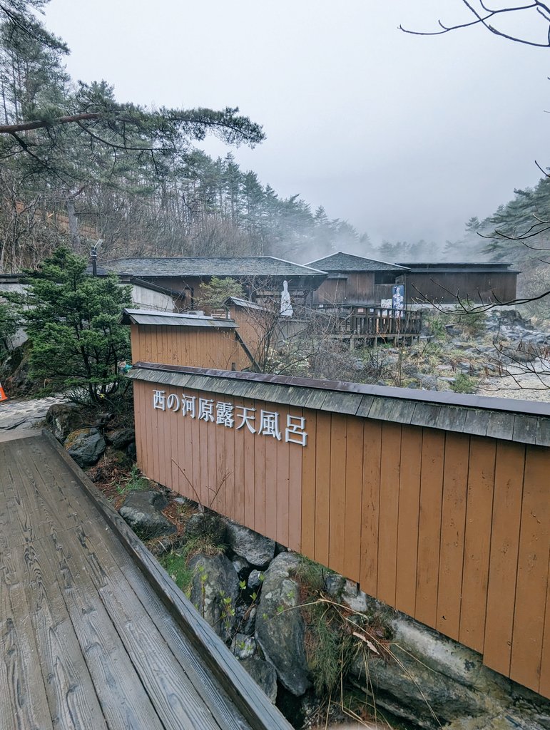 ぎんなん🍕🐢(@DO1_O36) - Twilog (ツイログ)