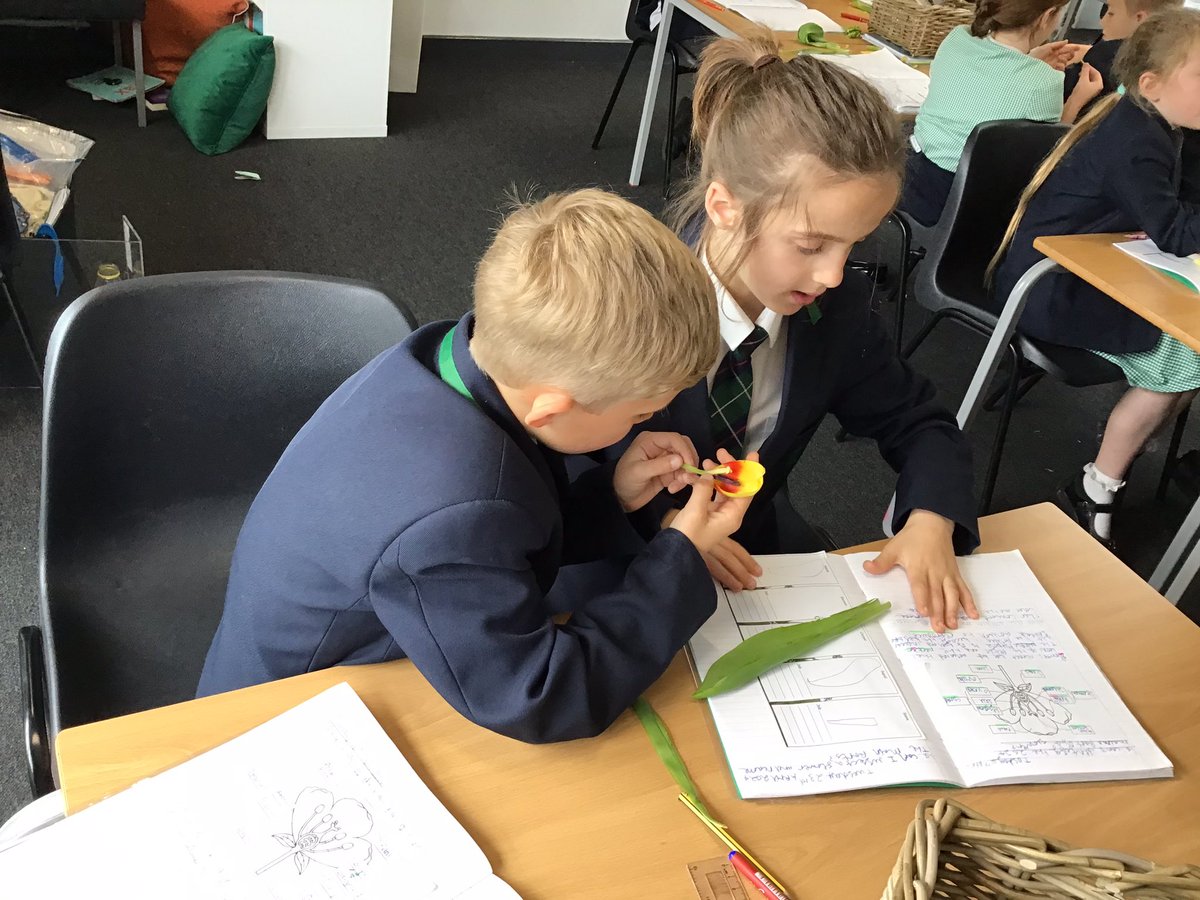 Term Dates - Aylesford Primary