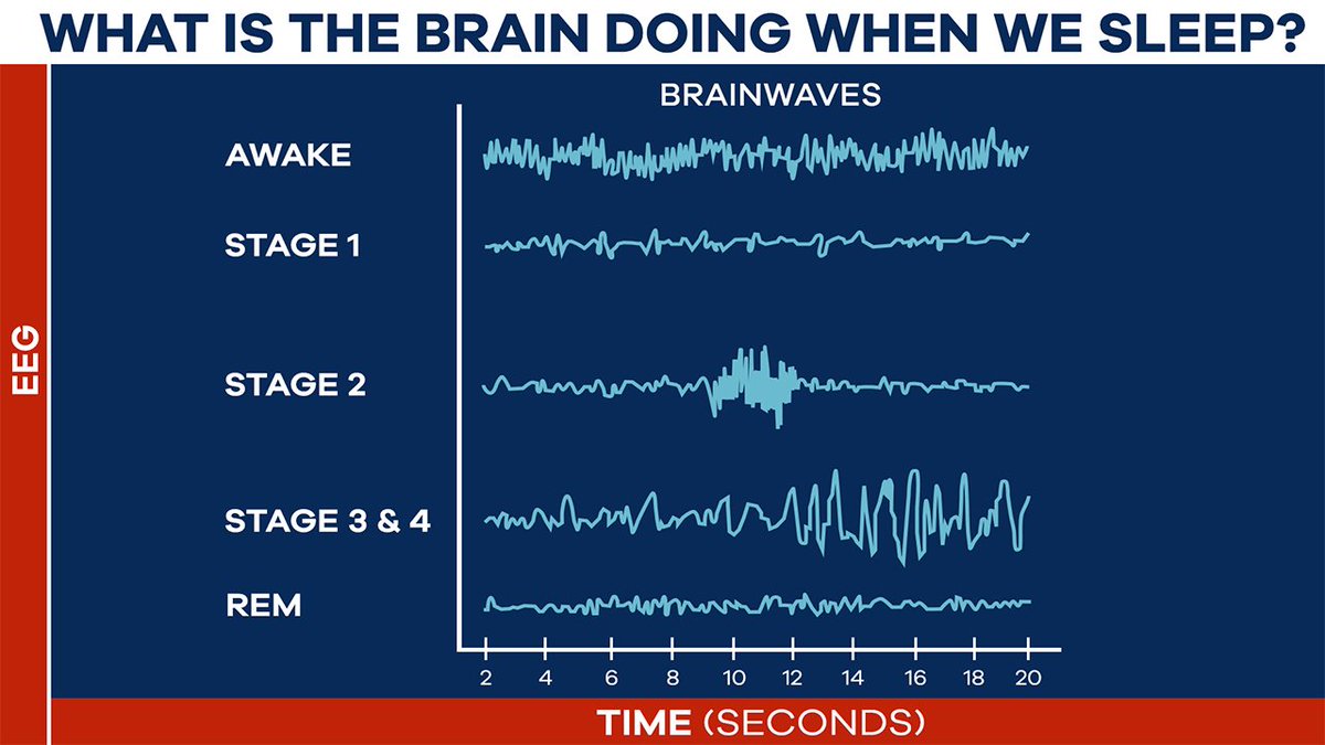 I've spent almost 20 years optimizing my sleep. Today, my sleep score ...