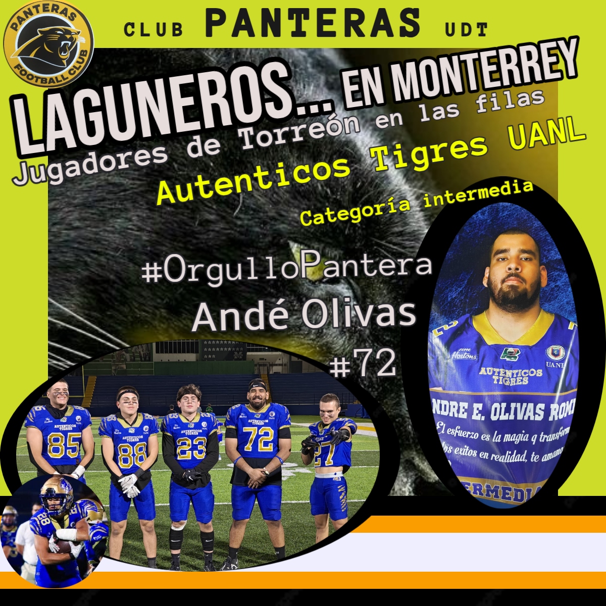 Club Panteras UDT (@clubPANTERASudt) / Posts / X
