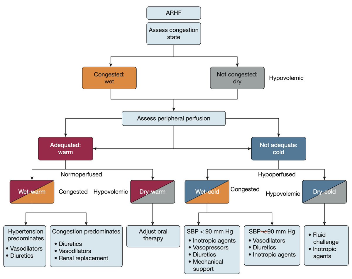 Right Heart Involvement in Left-Sided Heart Failure: Diagram showing ...