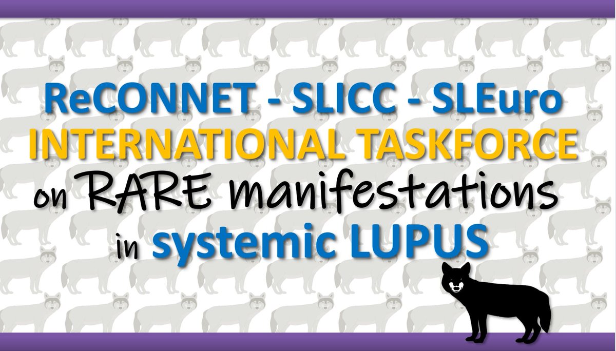 Youth Group Meet Up - Lupus Europe