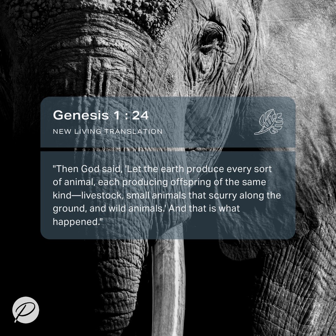 Genesis Environmental Quotes Genesis 9:17