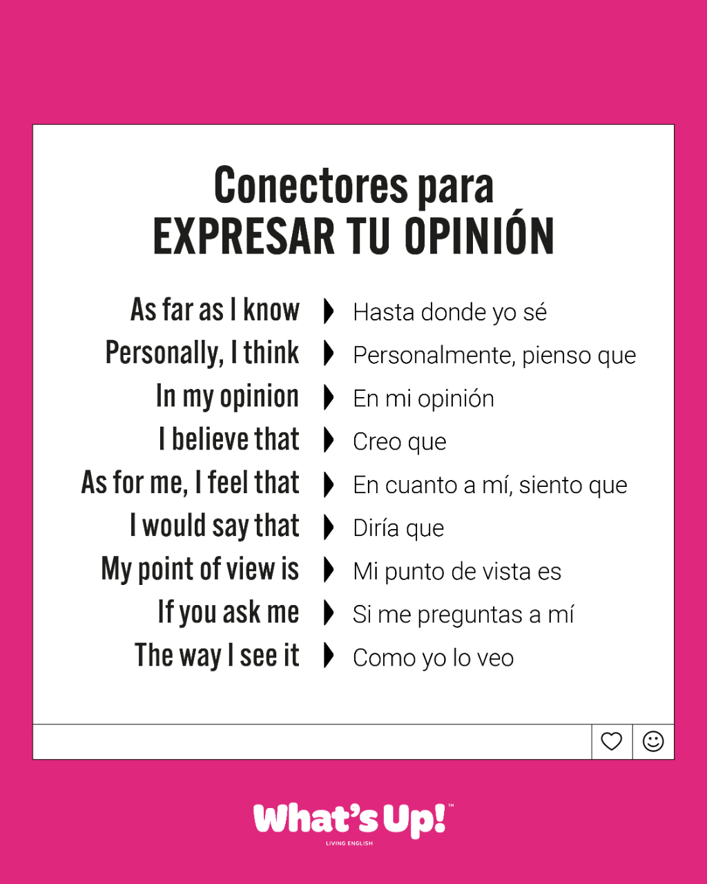 Punto De Vista En Ingles