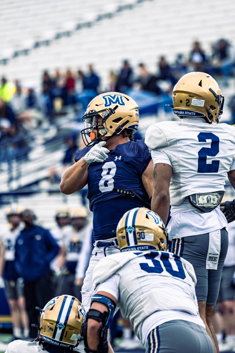 Max Media Montana State Football