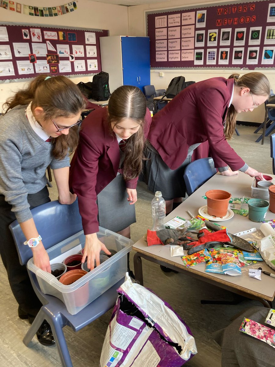 Welcome to St Thomas More Catholic Comprehensive School