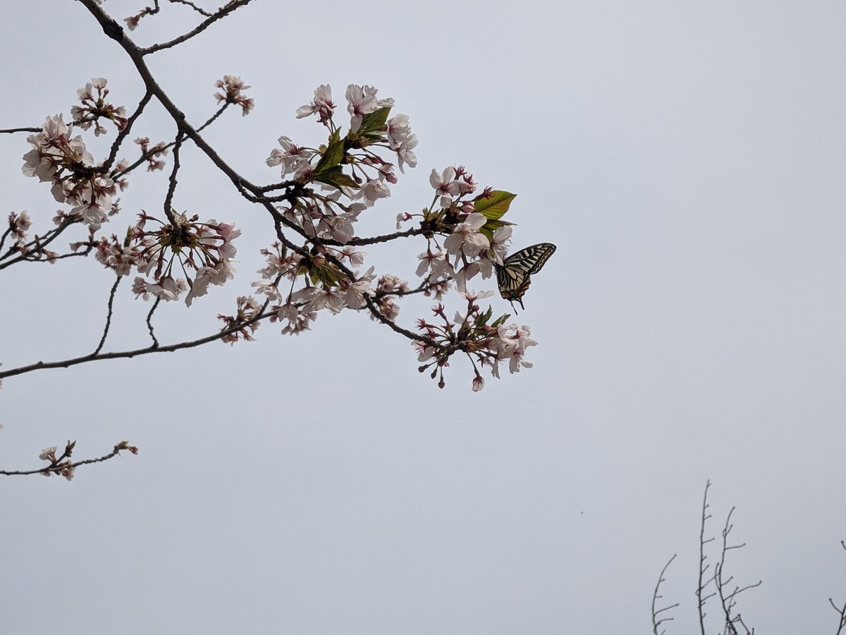 technote(@technote) - Twilog (ツイログ)