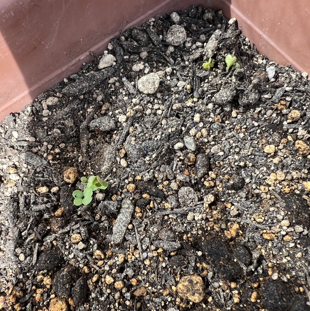 EventBank（イベントバンク）【公式】(@i_eventbank) - Twilog (ツイログ)